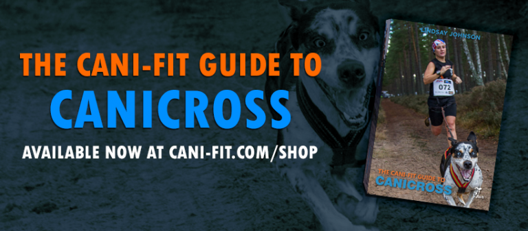 Home - Cani-Fit Cani-Fit - The leading dog and owner fitness training ...