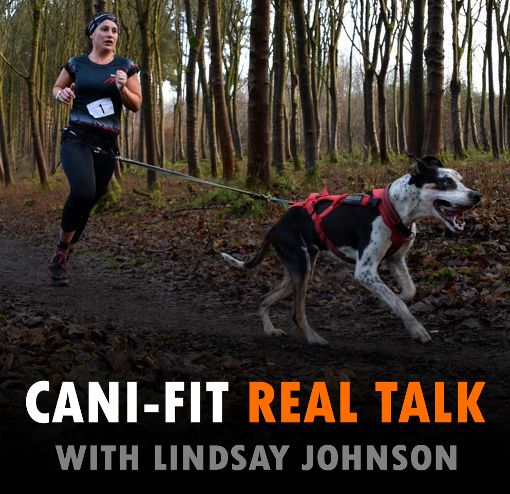 Home - Cani-Fit Cani-Fit - The leading dog and owner fitness training ...